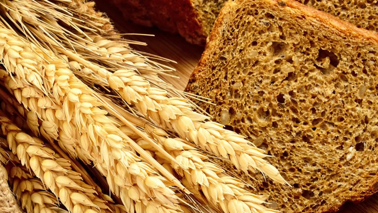 Nutrition & Health Info Sheets for Health Professionals - Fiber | UC ...