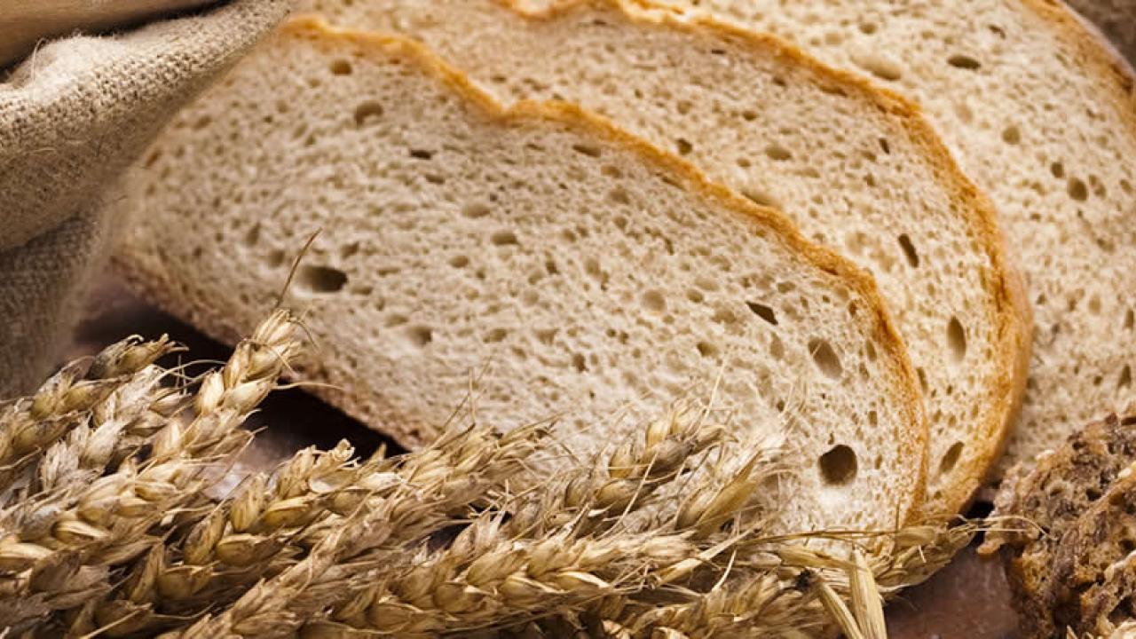 Nutrition & Health Info Sheets for Health Professionals - Gluten | UC ...